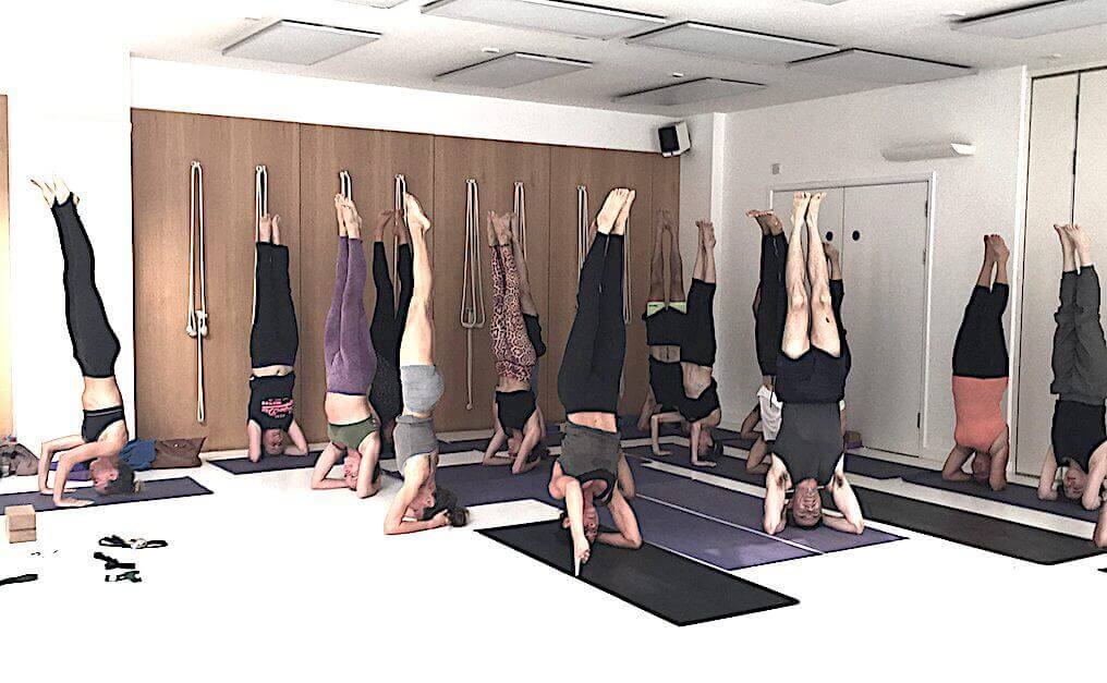 Classes - Dharma Yoga London